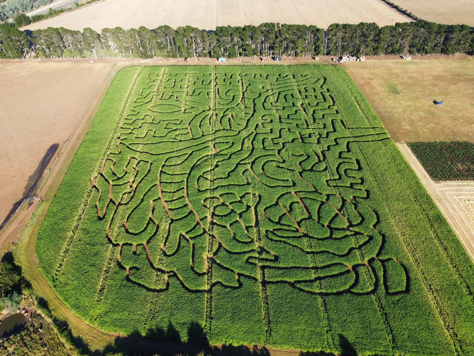 Rupertswood Farm Crop Maze