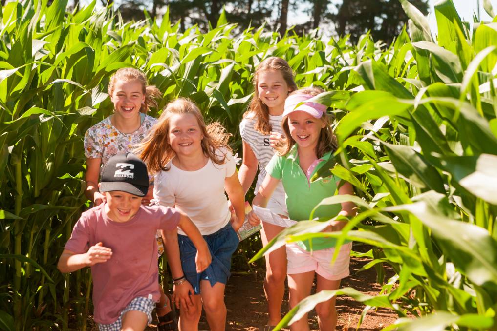Gala Day – Rupertswood Farm Crop Maze