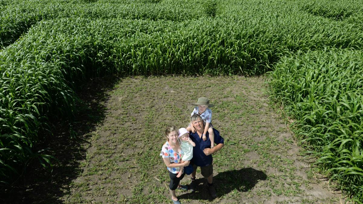 Previous maze designs – Rupertswood Farm Crop Maze