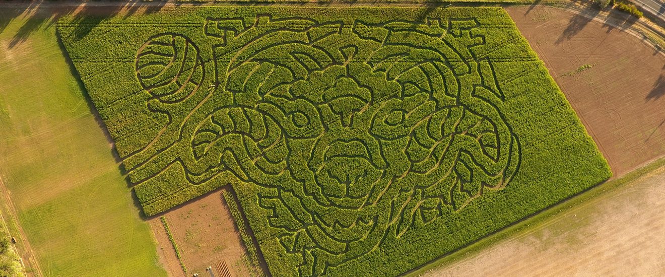 Rupertswood Farm Crop Maze