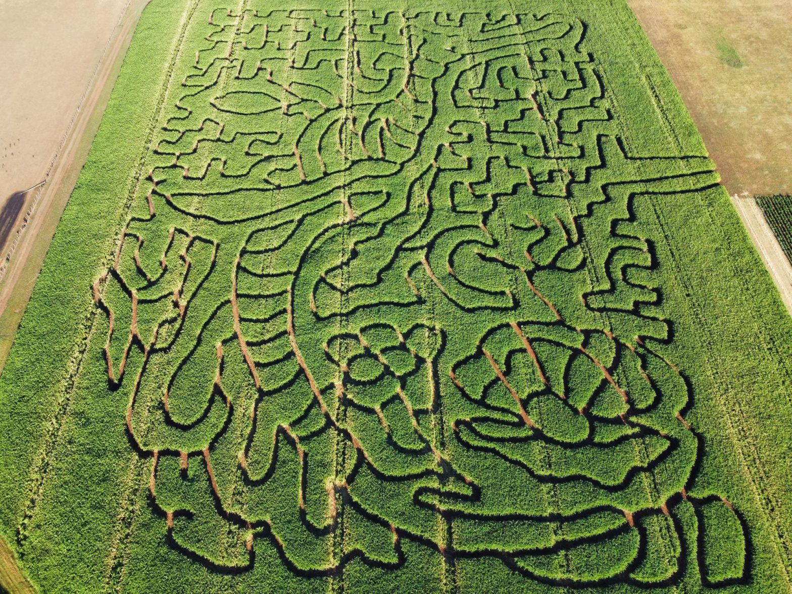 Rupertswood Farm Crop Maze